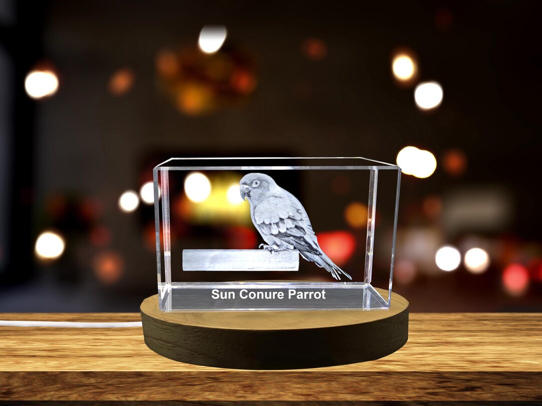 Sun Conure 3D Engraved Crystal | Exotic Parrot Collectible Trophy Gift ...