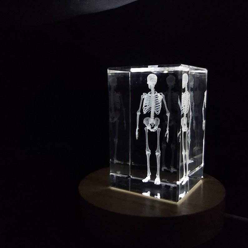 Human Skeleton 3D Engraved Crystal Novelty Decor - Etsy Canada