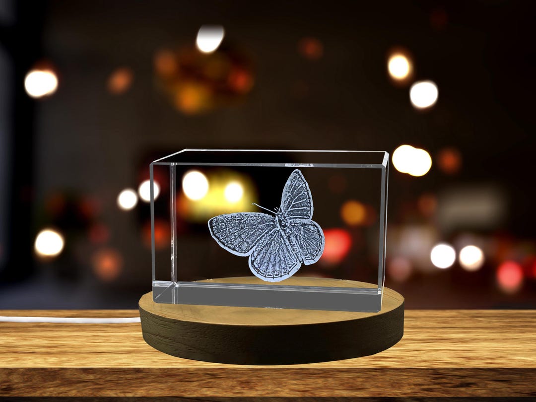 Spring Azure Butterfly 3D Crystal | Insect Collectible Trophy Gift - Etsy