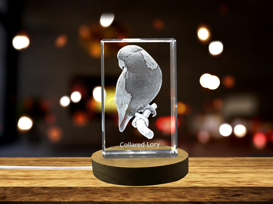 Collared Lory 3D Engraved Crystal 3D Engraved Crystal Keepsake/gift ...