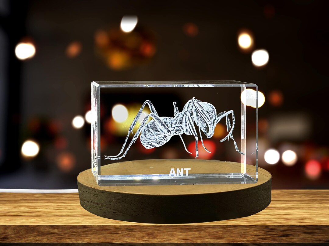 3D Engraved Crystal Ant Sculpture - Insect Lover Gift - Unique ...