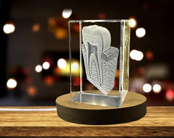 Dentist LED Lamp, 3D Tooth, Gift for Dentist, Dentist Clinic, Dentist ...