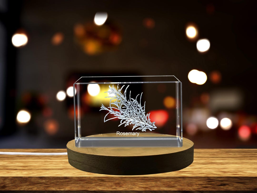 Decorative Rosemary Plant in Stunning 3D Crystal Engraved - Etsy