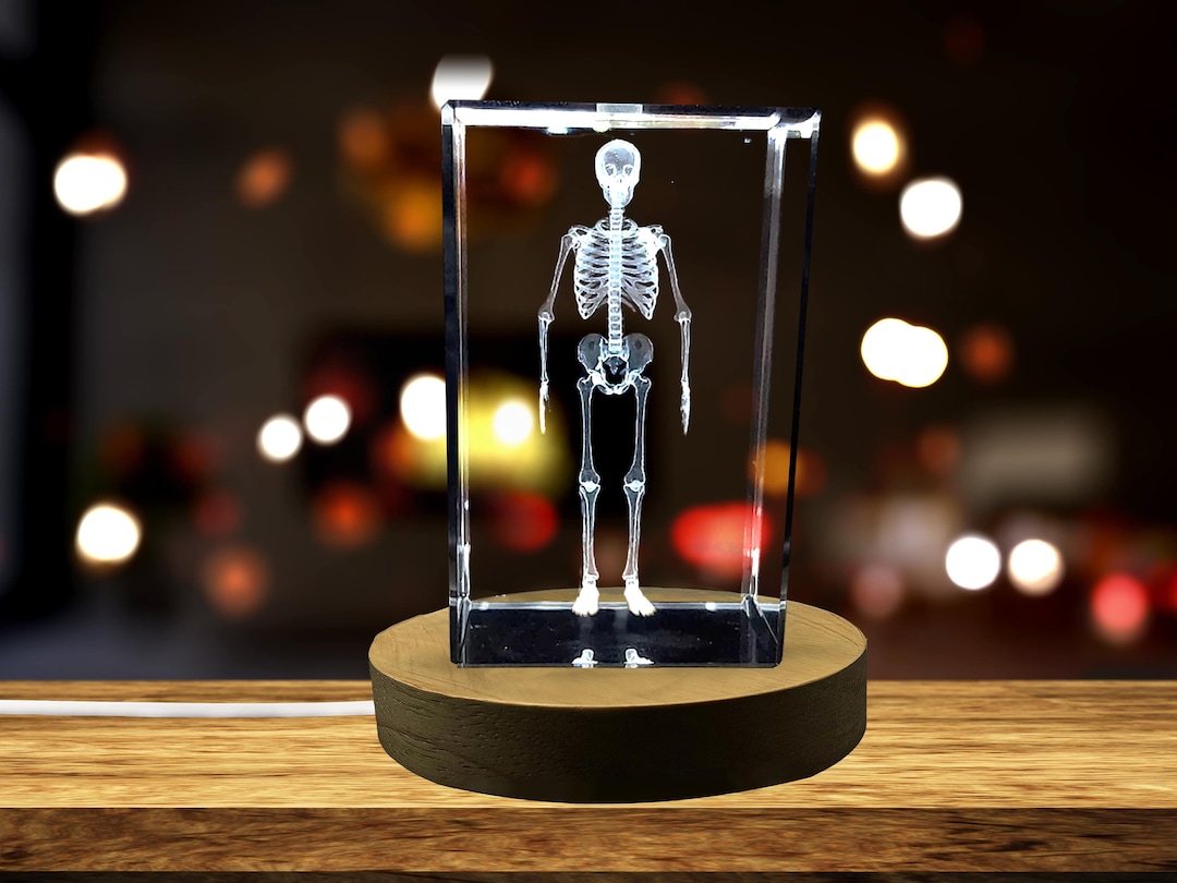 Human Skeleton 3D Engraved Crystal Novelty Decor - Etsy Canada