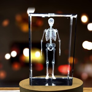 Human Skeleton 3D Engraved Crystal Novelty Decor - Etsy Canada