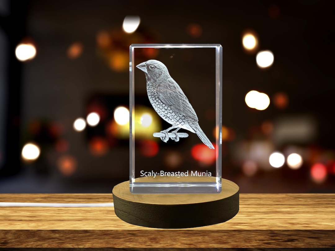 Scaly-breasted Munia 3D Engraved Crystal: Bird Keepsake With LED Base ...