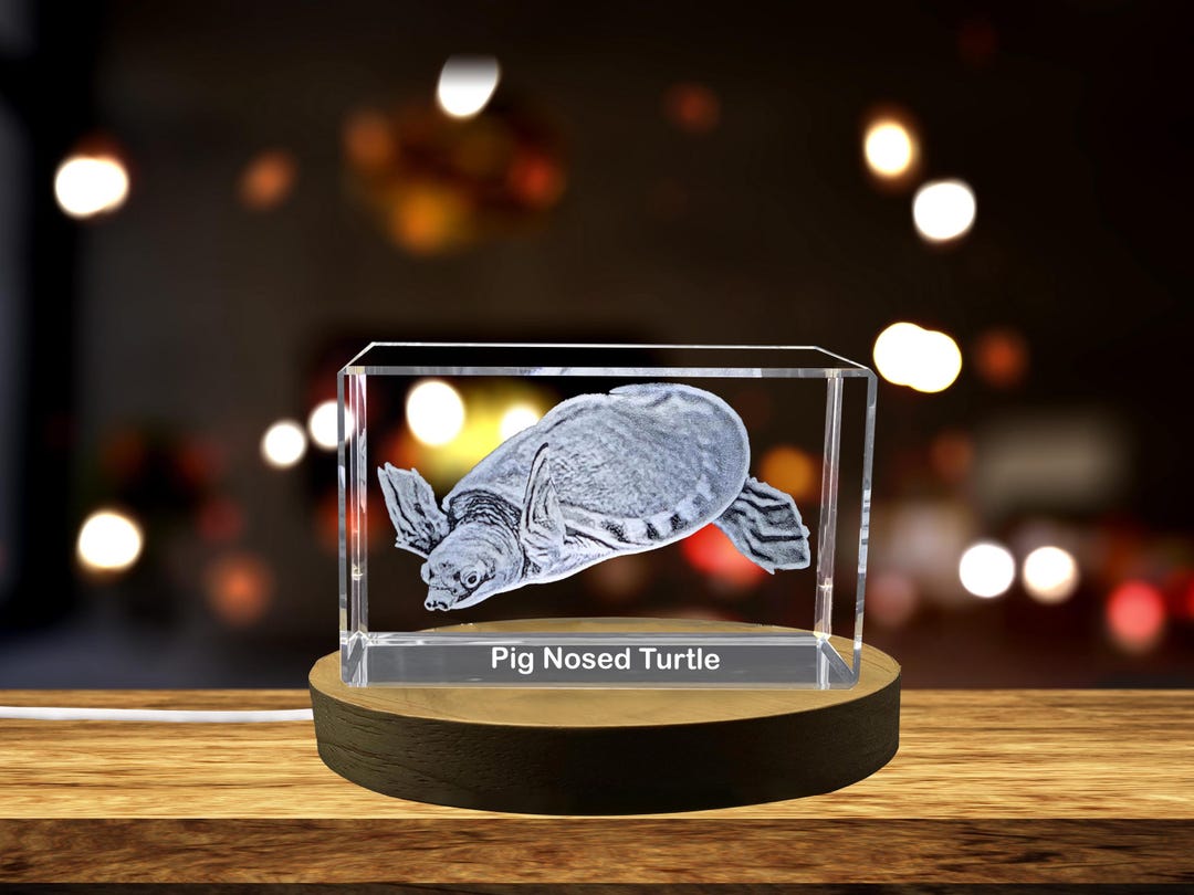 3D Laser Engraved Pig-nosed Turtle Crystal Figurine With LED Base ...