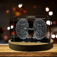 Kidney Shaped - Etsy