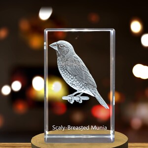 Scaly-breasted Munia 3D Engraved Crystal: Bird Keepsake With LED Base ...
