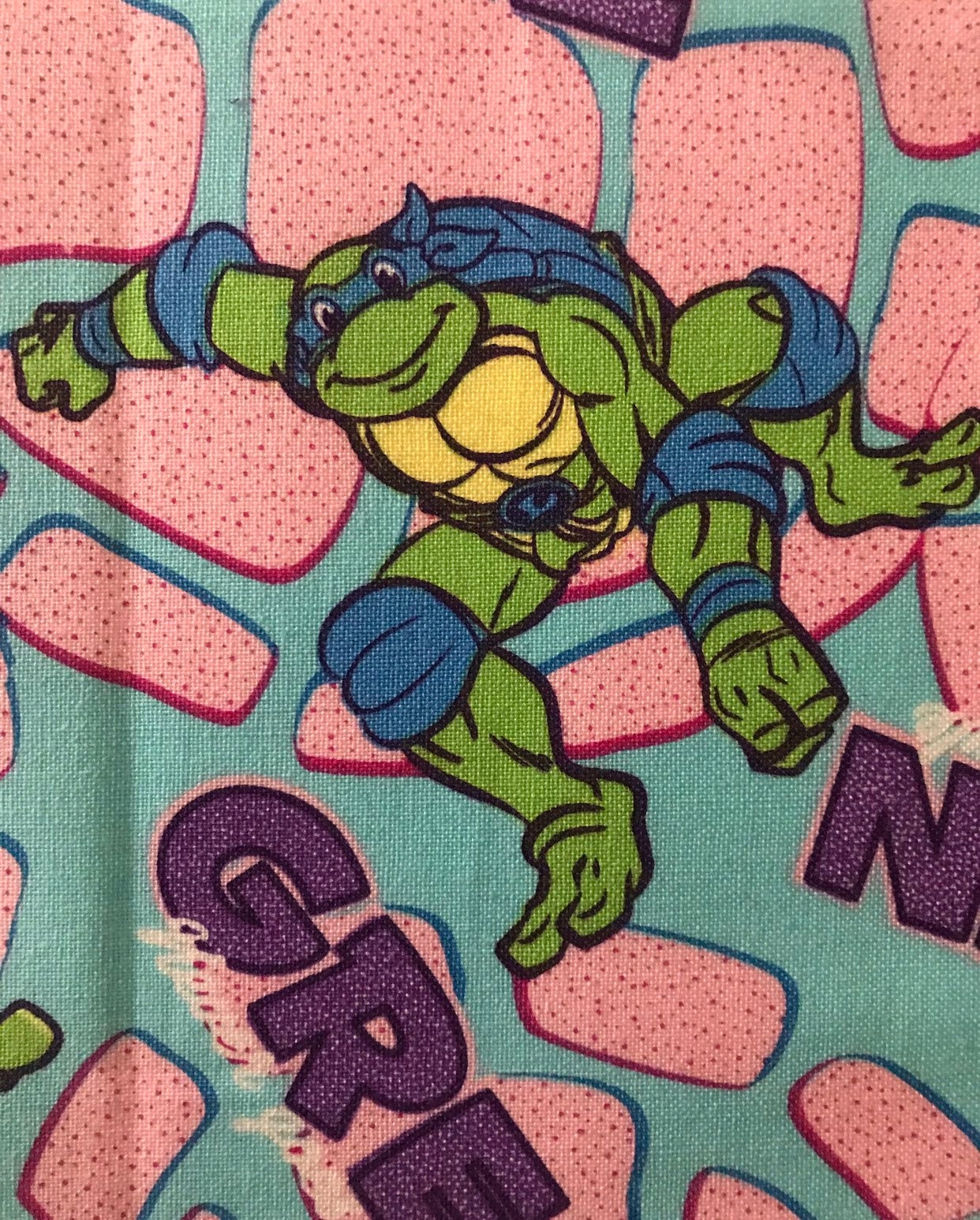 Handmade Teenage Mutant Ninja Turtles TMNT Pink Purple Blue | Etsy