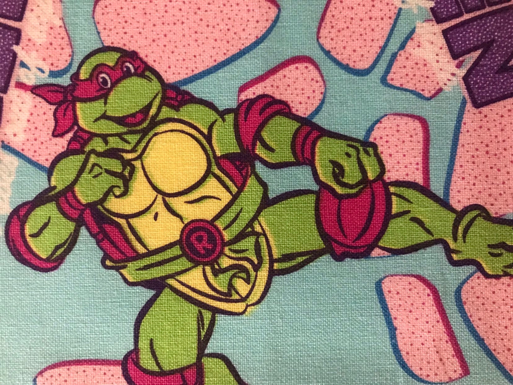Handmade Teenage Mutant Ninja Turtles TMNT Pink Purple Blue | Etsy