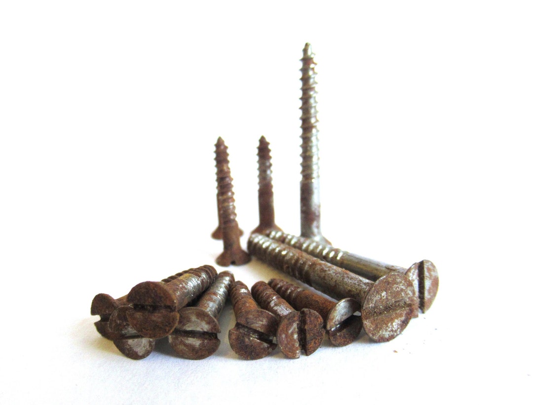 Flat Head Antique Rusty Screws 20 Pcs Amsterdam Wood Screws Made in ...