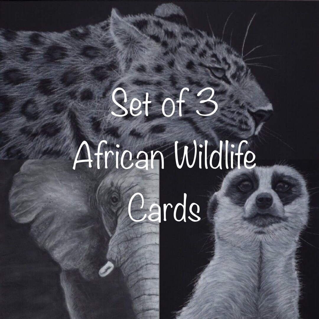 Set of 3 African Wildlife Portrait Cards - Etsy