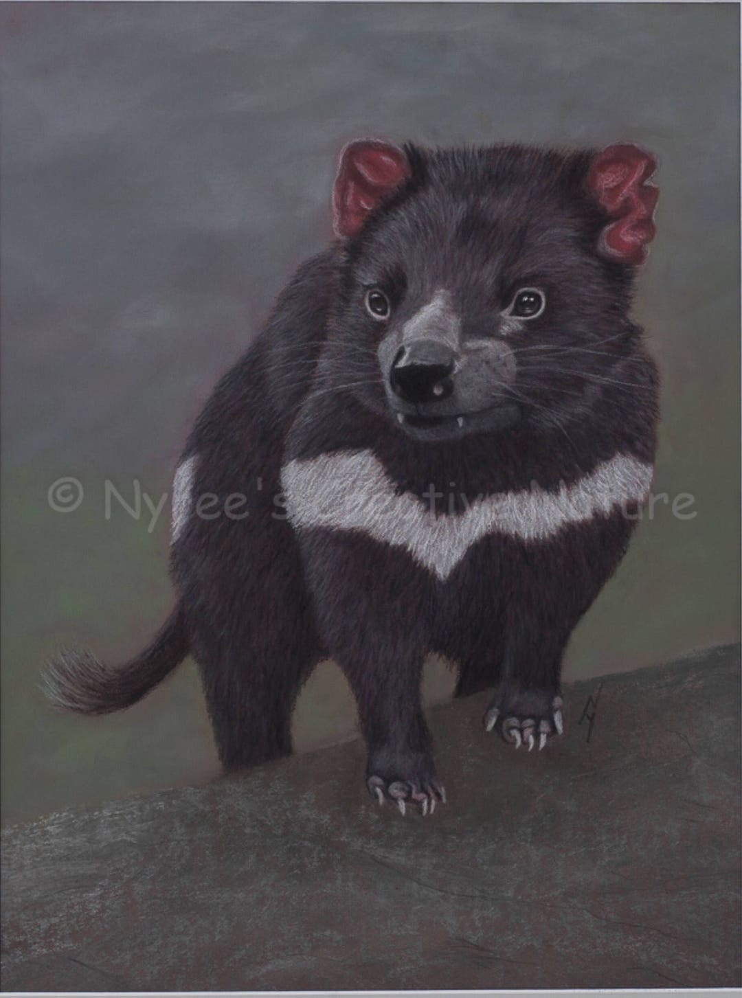 Limited Edition Tasmanian Devil Art Print/ Original Australian Wildlife ...