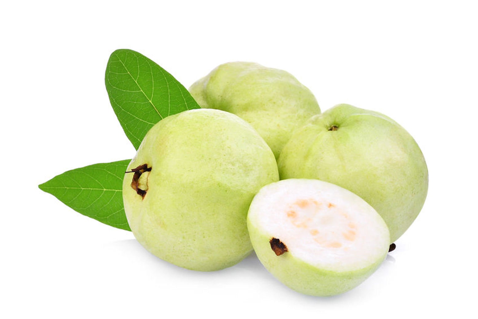 10 Seeds -tropical Guava Allahabad Safeda - Psidium Guajava - Etsy