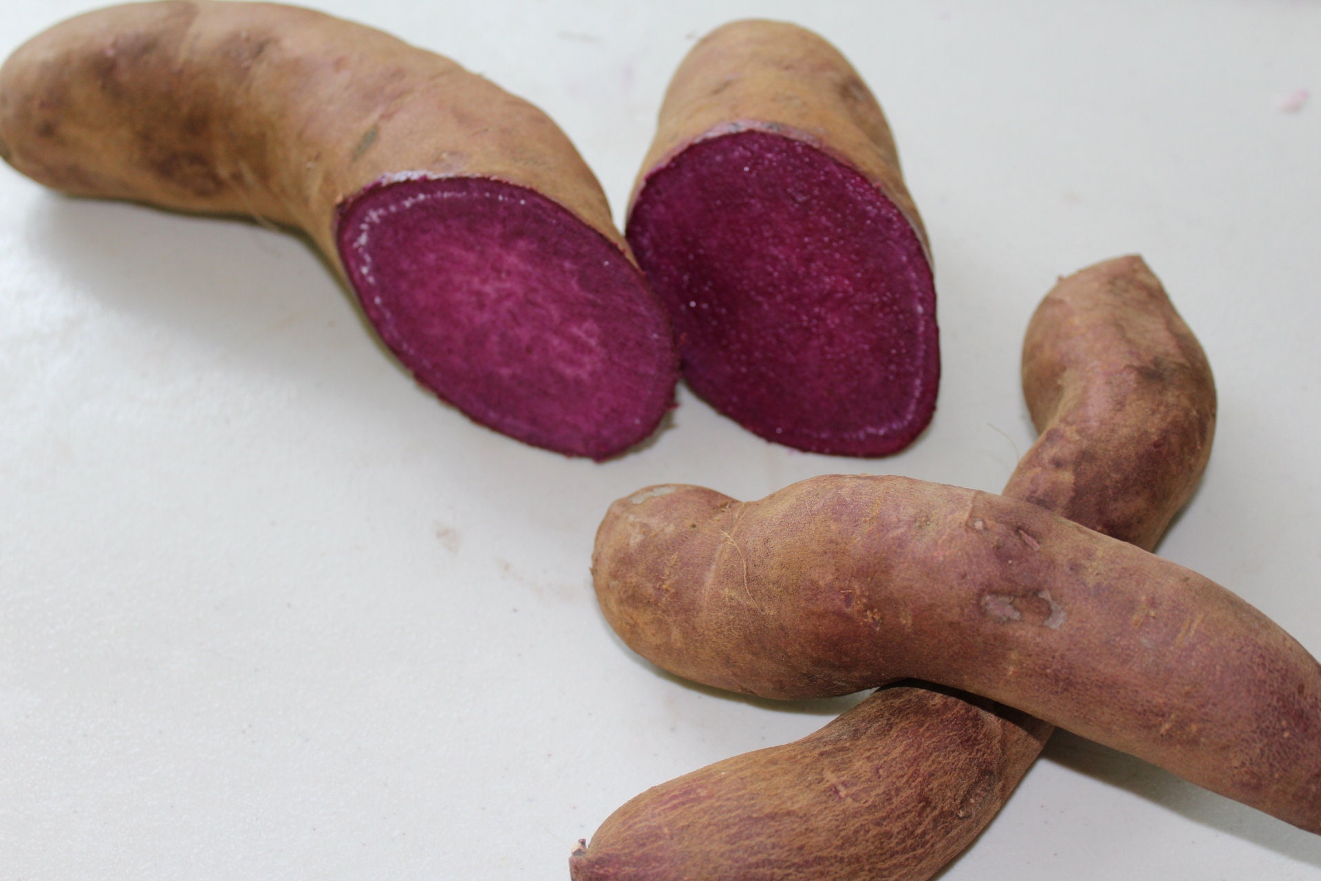 10 Rarely Produced SEEDS from a Flower water Yam / Purple | Etsy