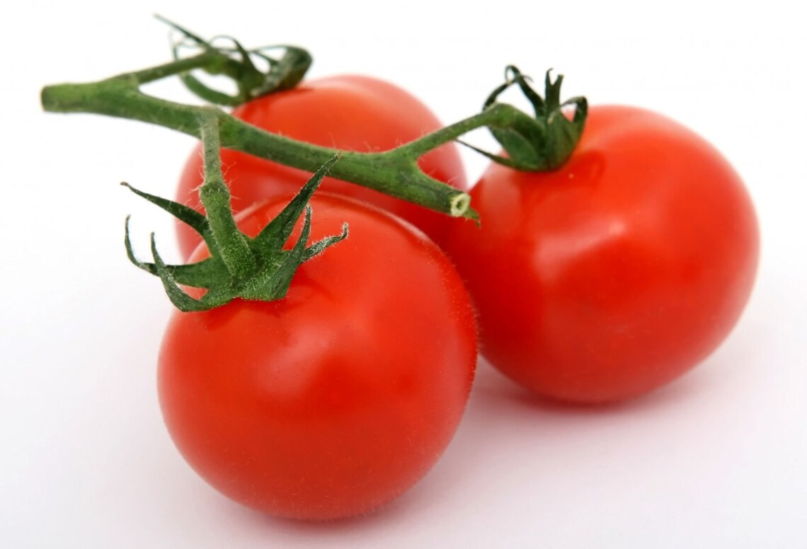 20 Heirloom Marglobe Tomato Seeds!- -A Timeless Favorite - Etsy