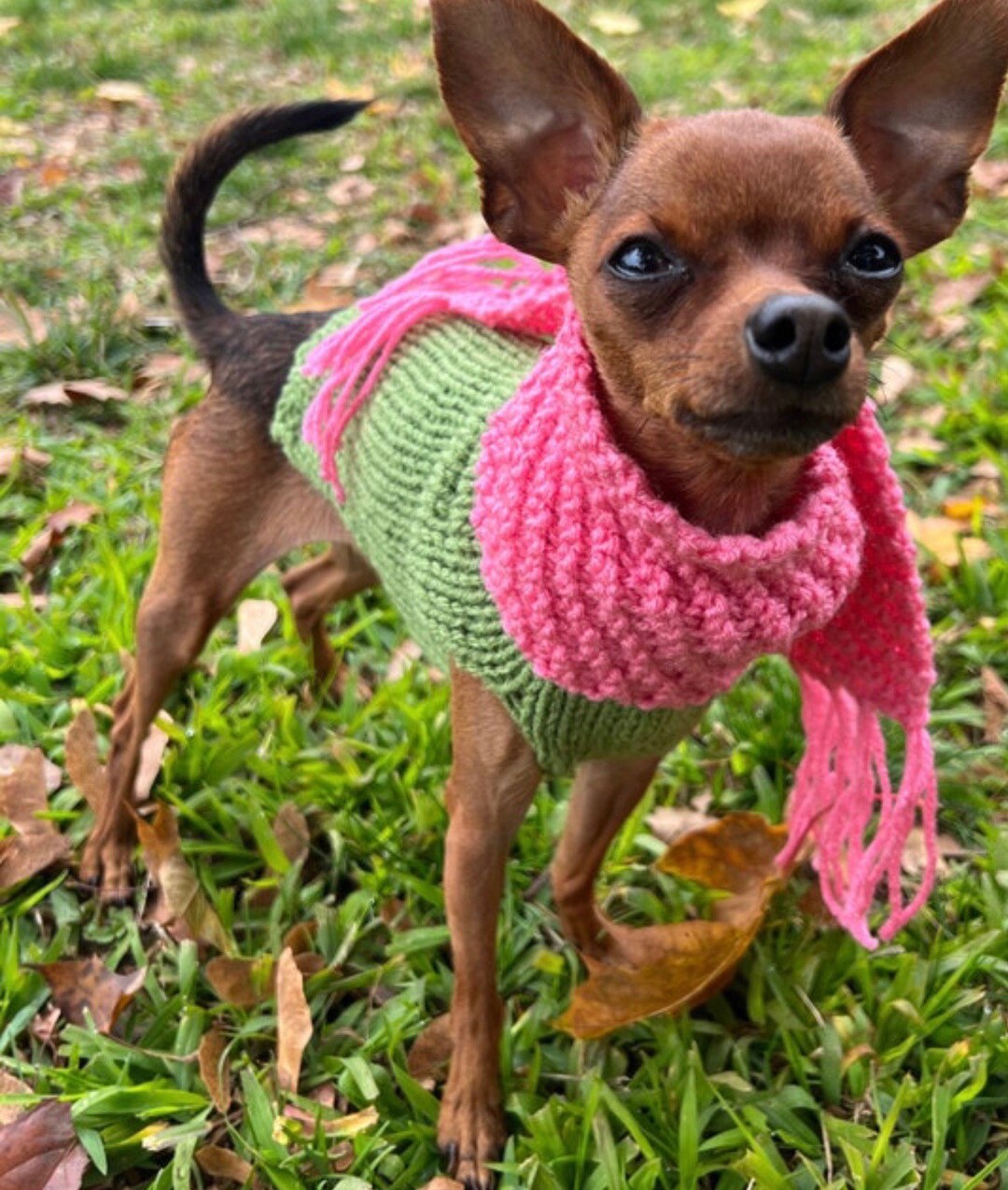 Hand Knitted Dog Scarf: Small Breed Puppy Scarf - Grey, Black, Blue ...