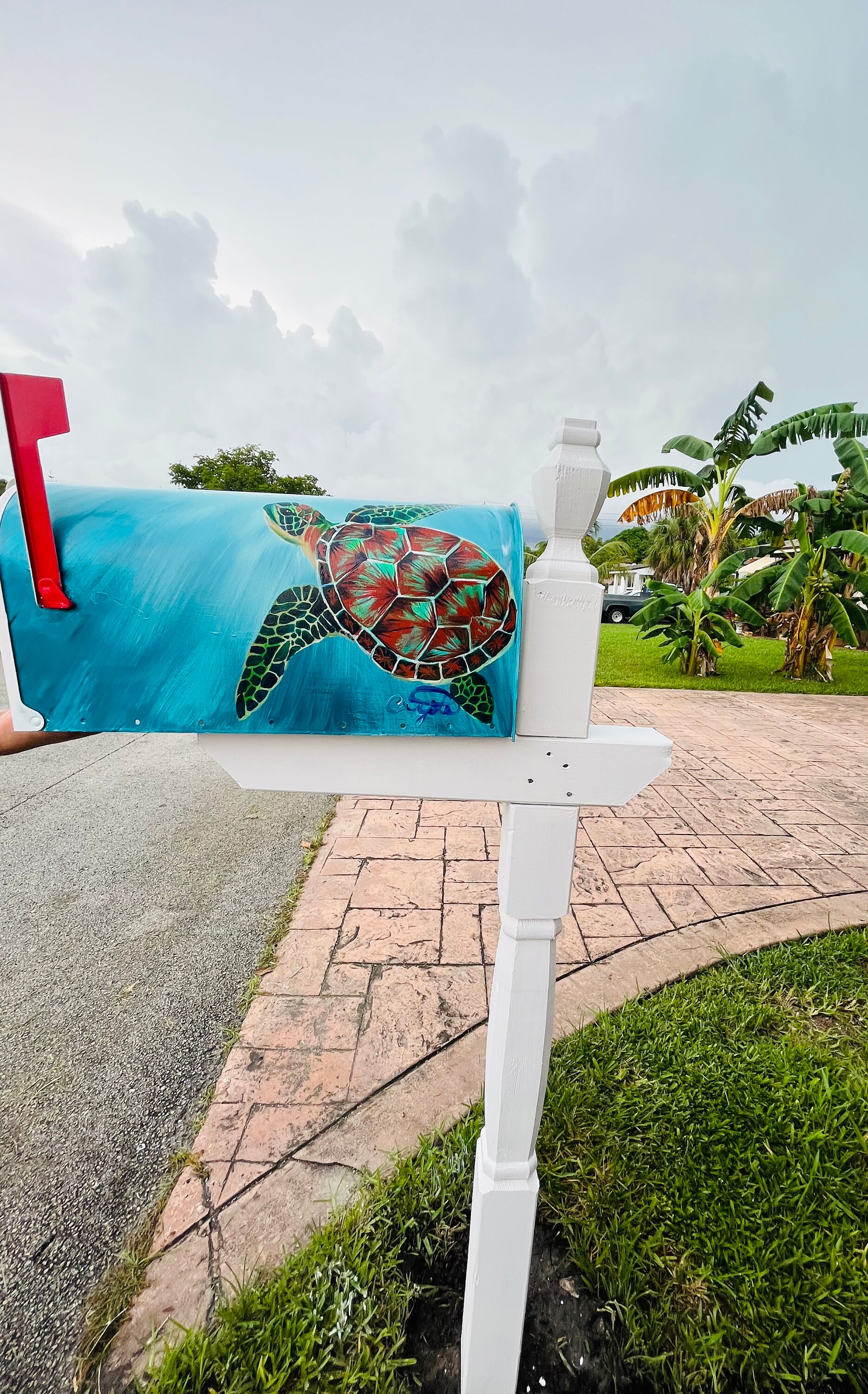 Green Sea Turtle Hand Painted Galvanized Steel Mailbox With UV ...