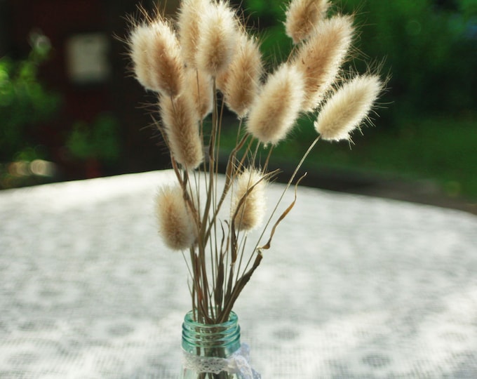 Bouquet of Dried Bunny Tiles Dried Flower Bouquet Natural - Etsy