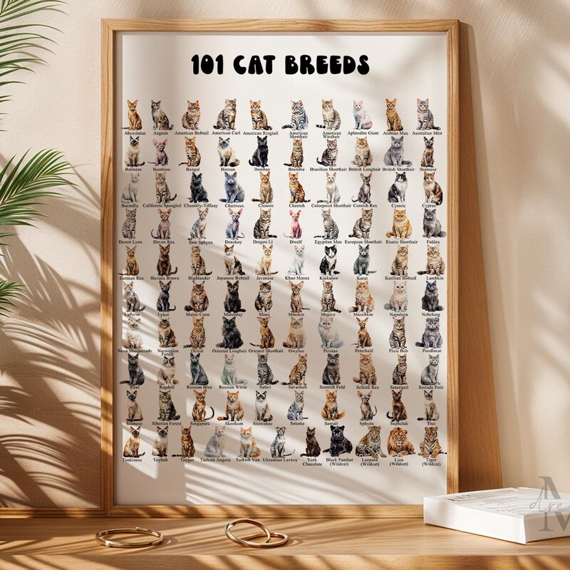 Cat Posters - Etsy