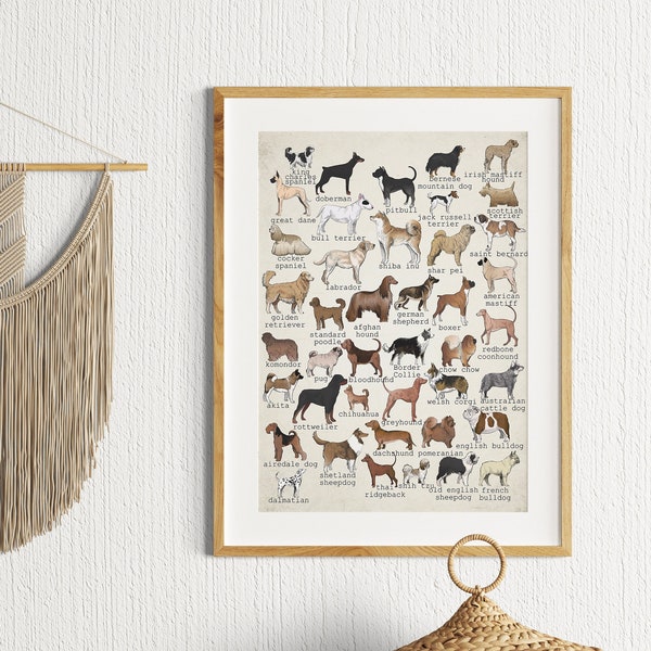 Dog Breeds Poster - Etsy