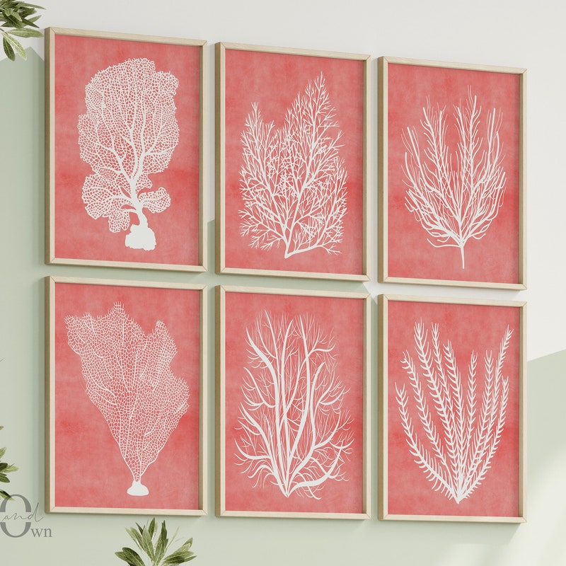Red Coral Print - Etsy