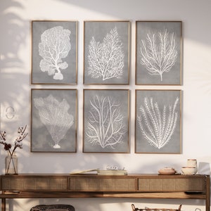 Gray Coral Poster, Beach House Wall Decor, Gray Coastal Wall Art ...
