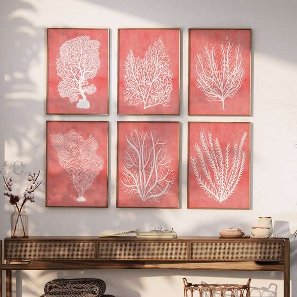 Coral Colored Decor - Etsy