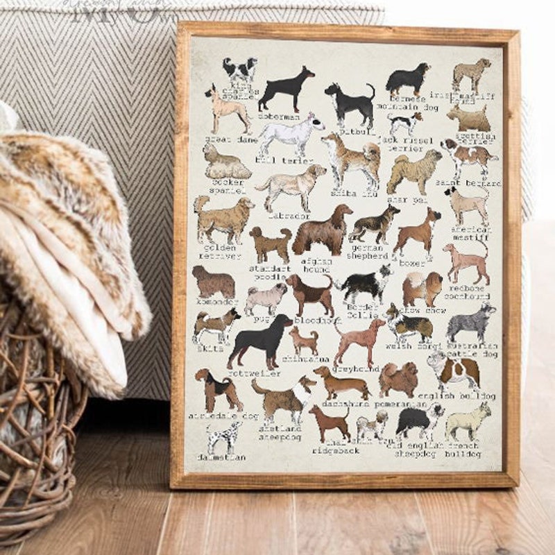 Dog Breeds Poster - Etsy