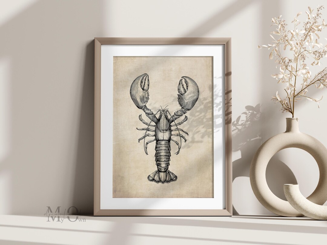 Hummer Poster, Retro Meerestier Wandkunst, Hummer Vintage Illustration ...