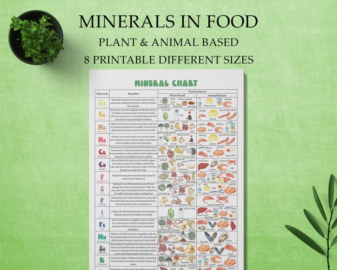 Mineral Food Chart Printable, Nutrients Poster, Healthy Diet Print ...