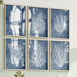 Navy Blue Coral Wall Art, Hamptons Print Set of 6, Watercolour Poster ...