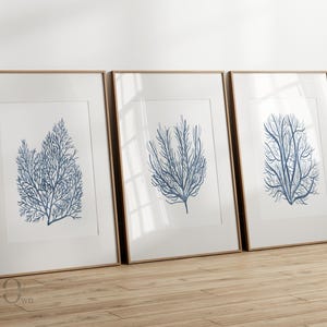 Ocean Coral Wall Decor in Blue: Hamptons Style Print, Coastal Poster ...