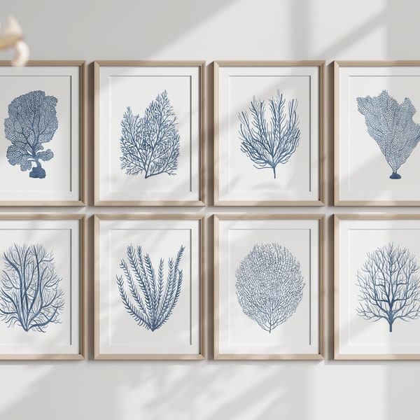 Coral Navy Wall Art - Etsy