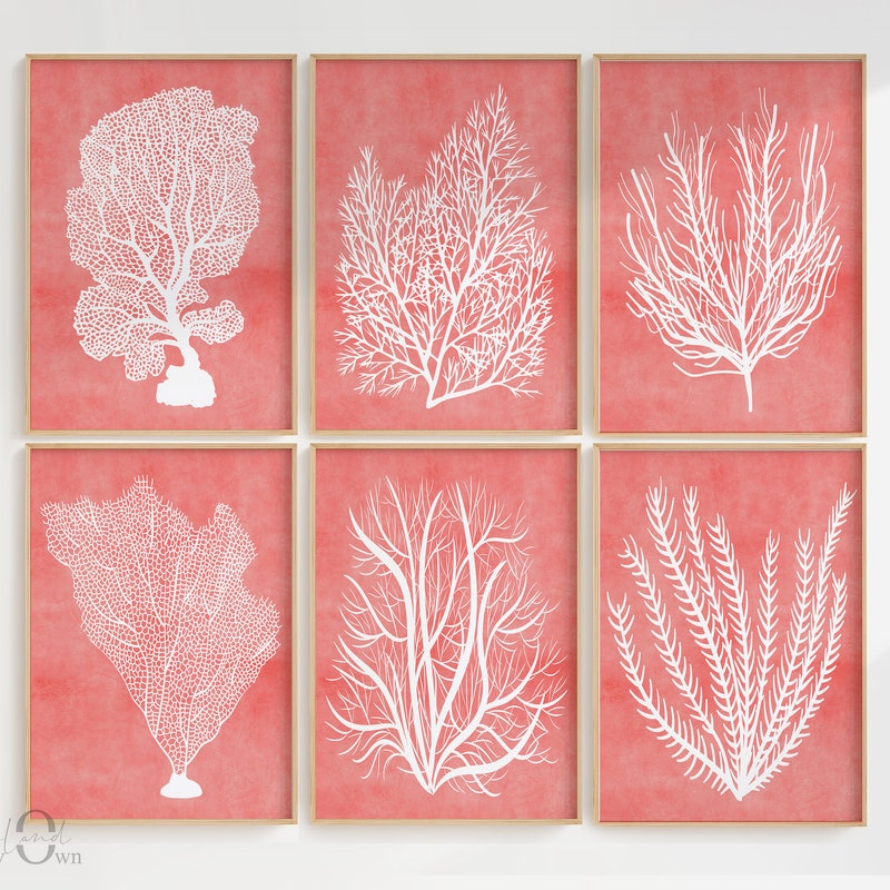 Red Coral Print - Etsy