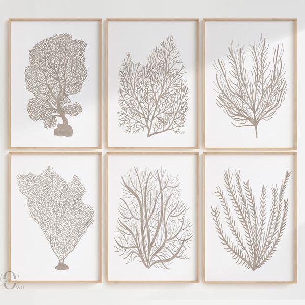 Coral Wall Decor - Etsy