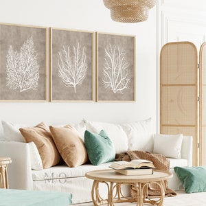 Neutral Coastal Print Set of 3, Beige Rustic Coral Wall Art, Boho Beach ...