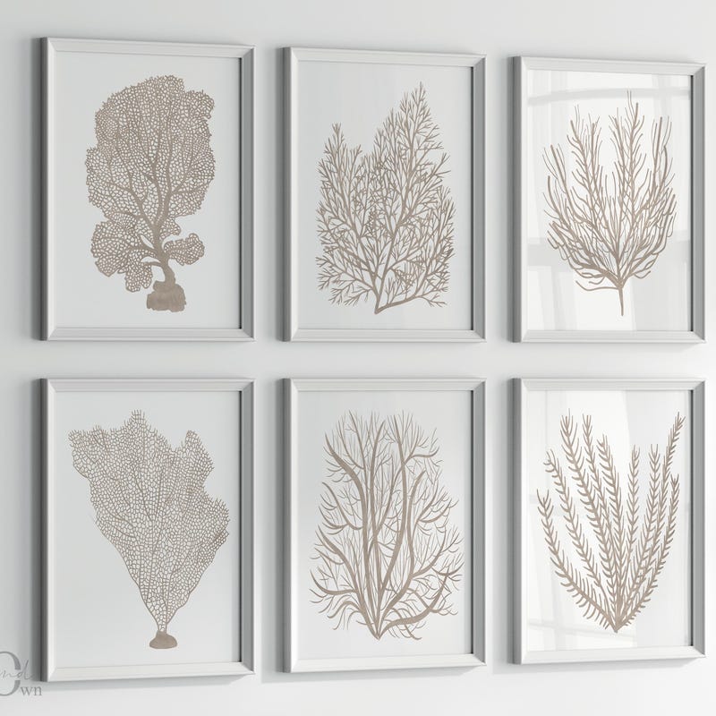 Coral Wall Art - Etsy