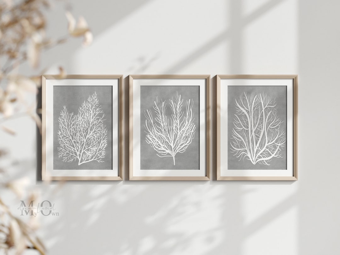Gray Coral Poster Set of 3, Boho Coastal Wall Art, Sea Coral Prints for ...