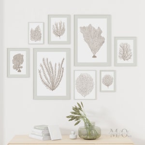 Beige Coastal Wall Art, Print Set of 8 Gallery Wall Art, Neutral Rustic ...