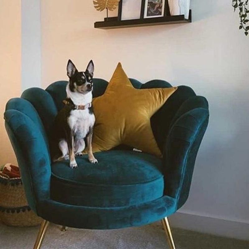 Star Cushion - Etsy UK