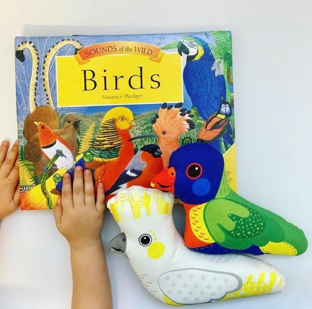 Australian Native Bird Stuffed Animal Soft Toy Set of 6. Magpie ...