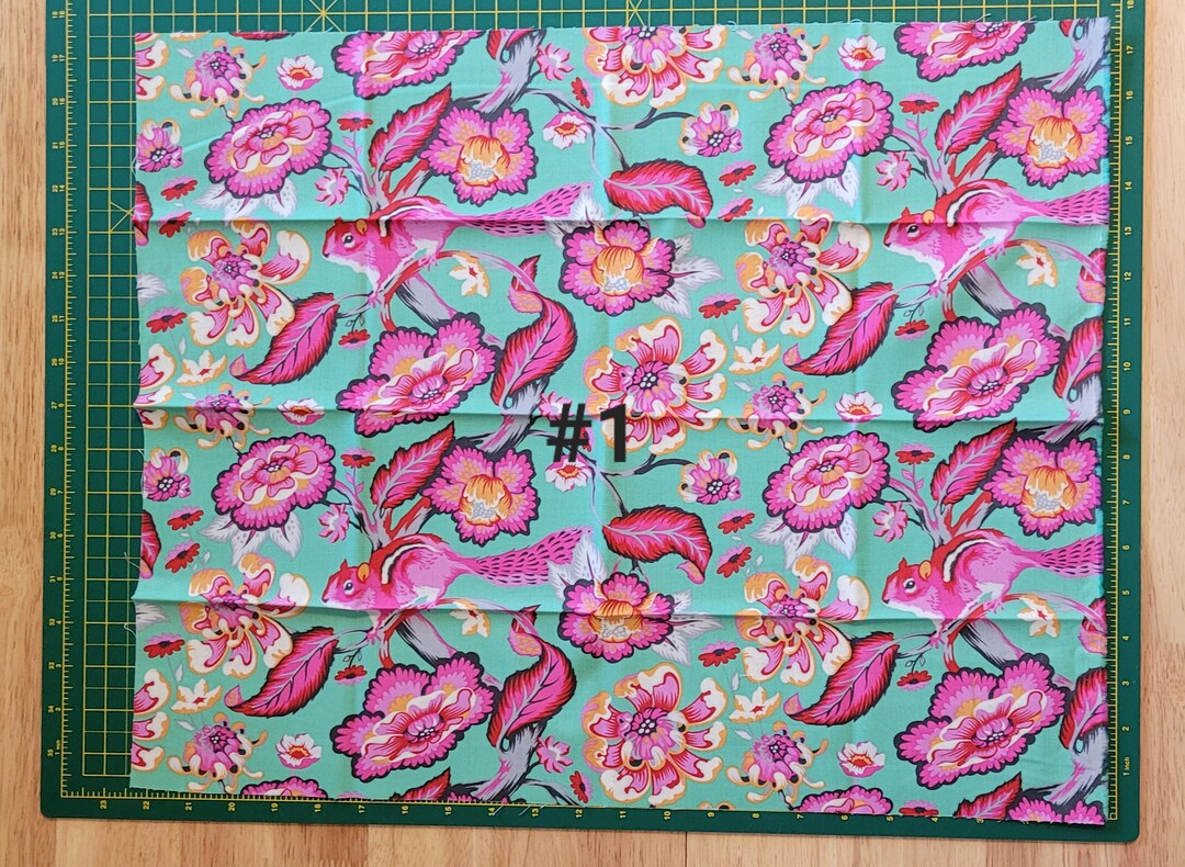 Tula Pink Chipper Chipmunk - Etsy