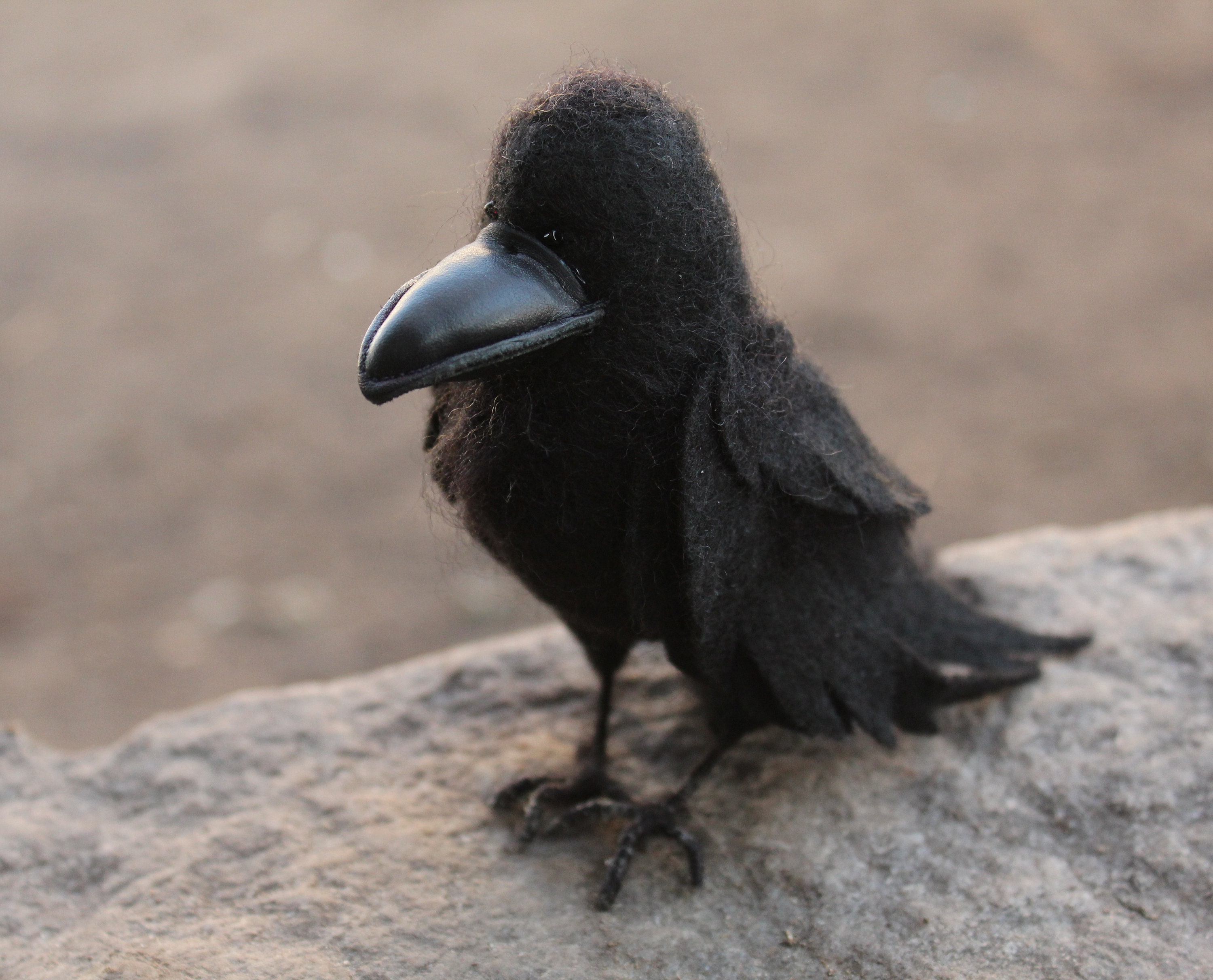 Realistic Felt Crow Sewing Pattern | DIY Halloween Decor | Raven Plush ...