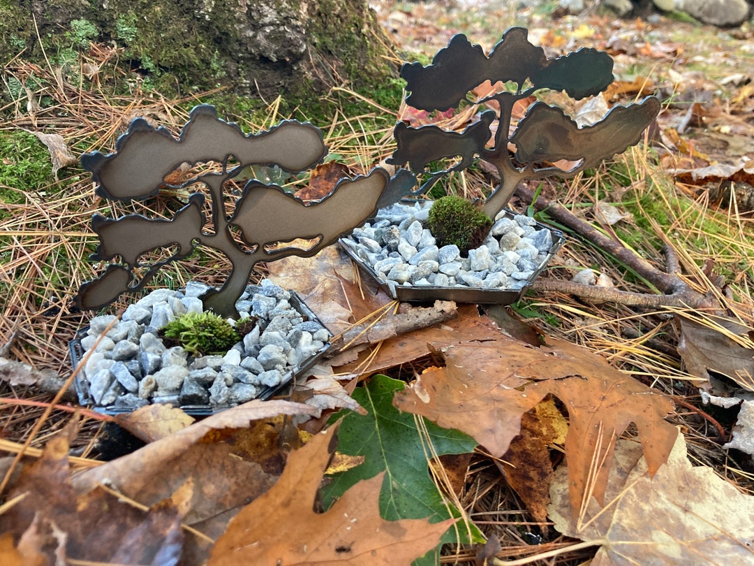 Forever Lasting Bonsai Tree Steel Cut Out in Tray - Etsy