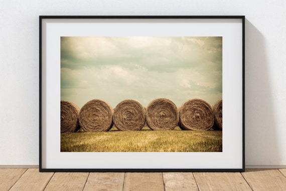 Rollin...Hay Field Photography Hay Bale Photography Farm | Etsy