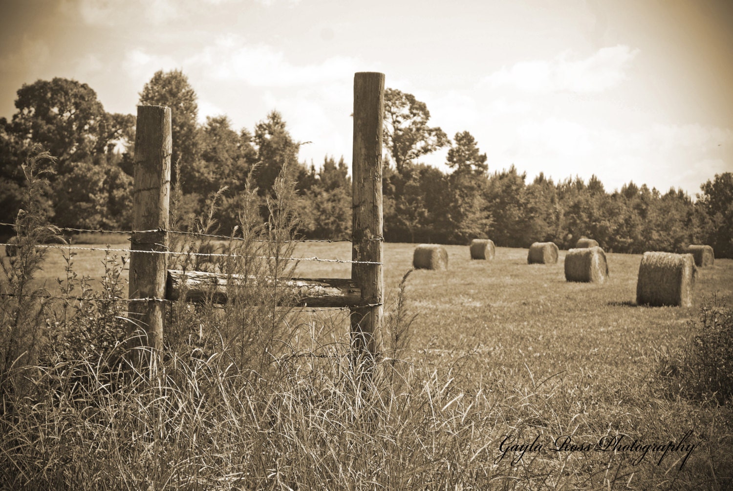 Hay Field Photography,hay Bale Photography,wooden Fence Post ...