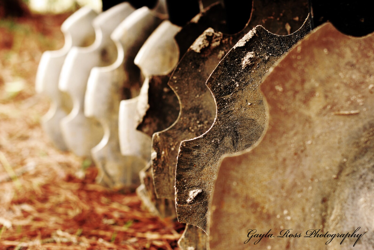 Plow Photography,farm Equipment Photo,garden Plow,rustic Farm Photo ...