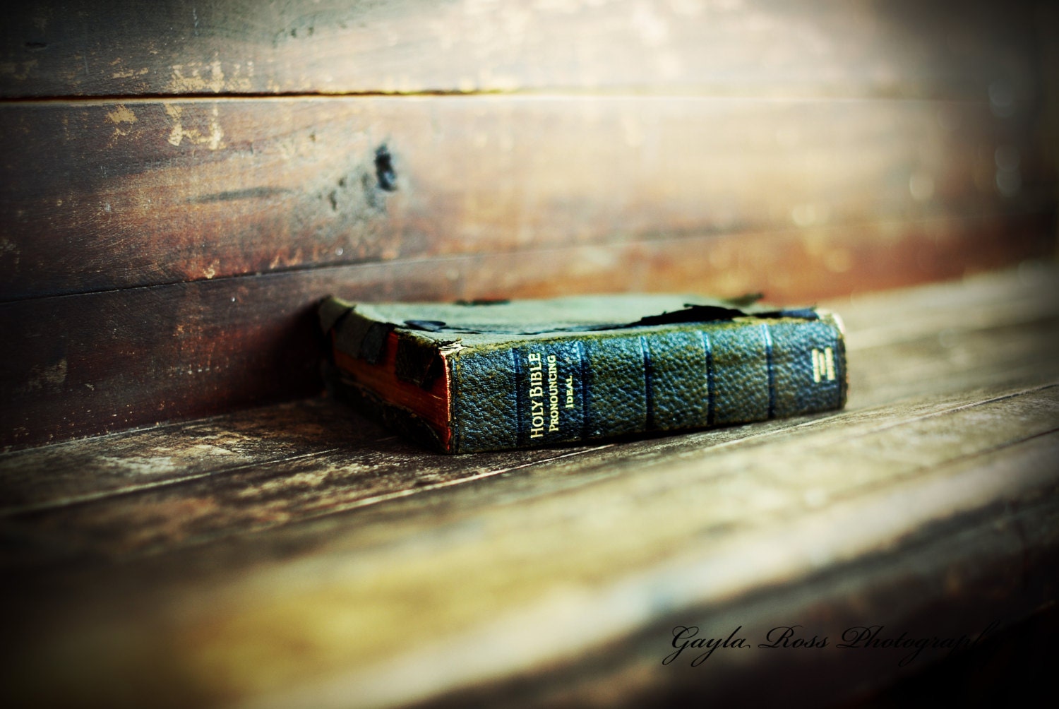 The Word:holy Bible Photography,rustic Bible Photo,vintage Bible Photo ...